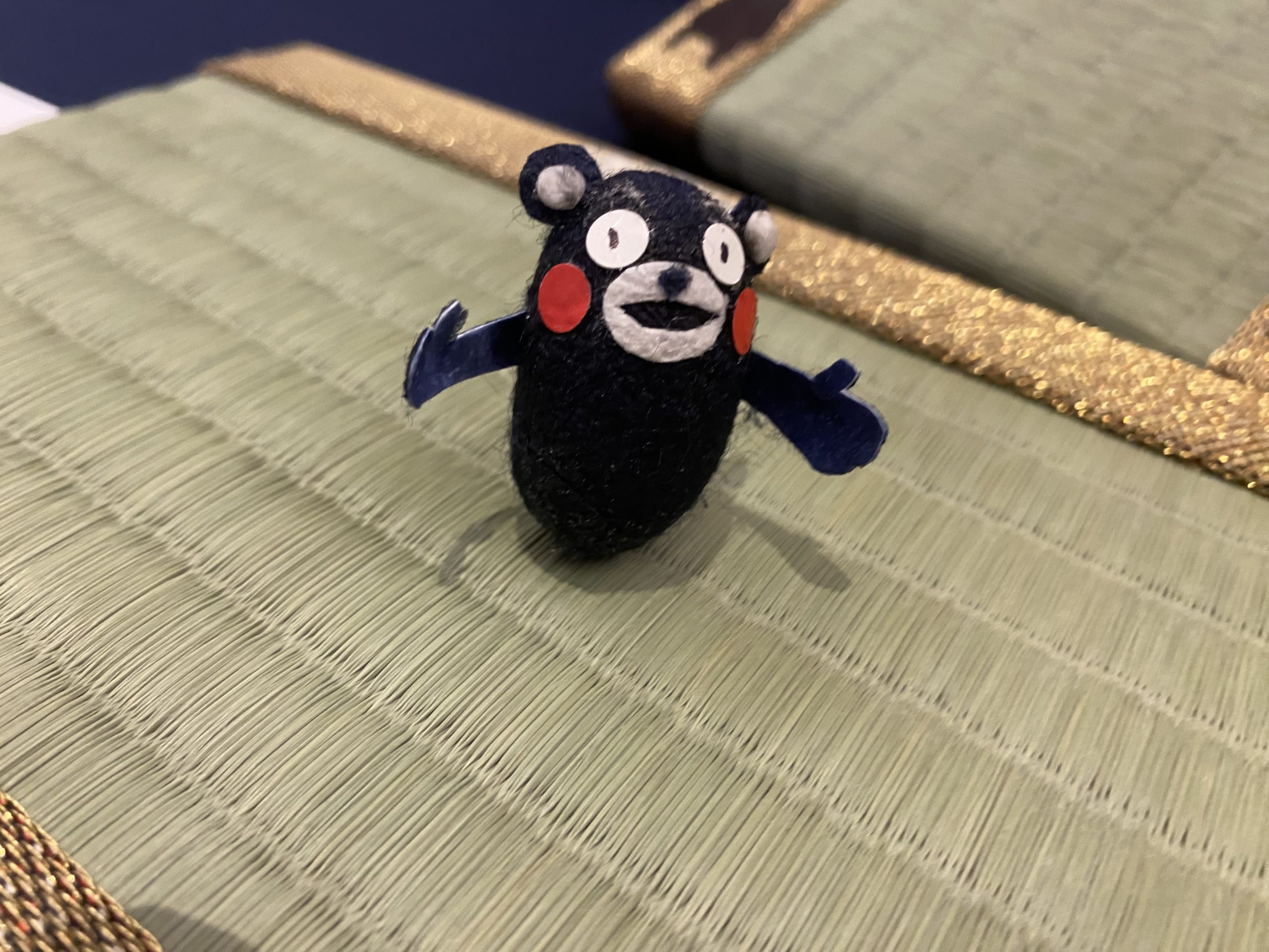 IMG_4486 – 全国い産業連携協議会・熊本県いぐさ・畳表活性化連絡協議会